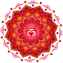¿Qué son los CHAKRAS? Aprende sus Funciones y Cuántos Hay